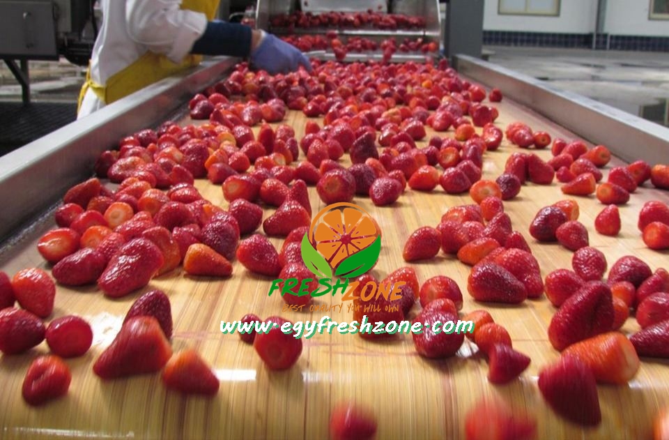 Frozen Fruits and Vegetables – Fresh Zone Export of IQF Frozen fruits ...