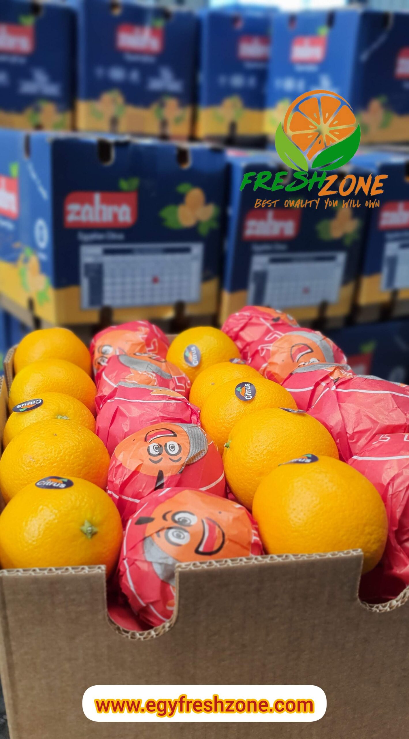 Products – Fresh Zone – a wide range of Fresh and Frozen Fruits and vegetables