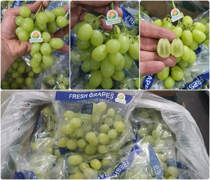 Egyptian Grapes – Fresh Zone Fresh Zone