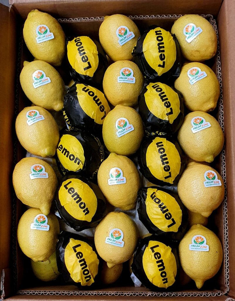 Adalia Lemon – Fresh Zone Egyptian Adalia Lemon by Fresh Zone