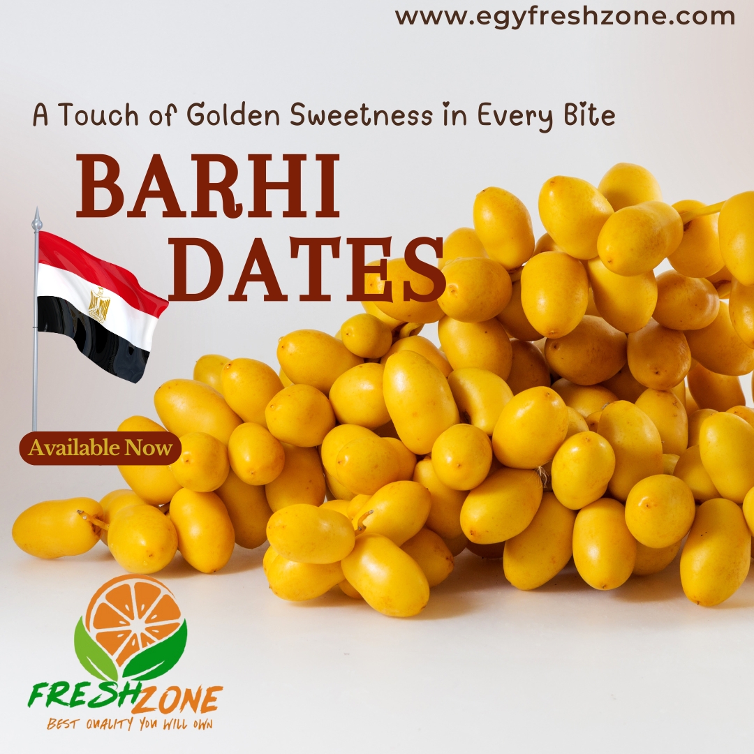 Sweet, Soft & Irresistible – Egyptian Barhi Dates ,Sweetness in Every ...